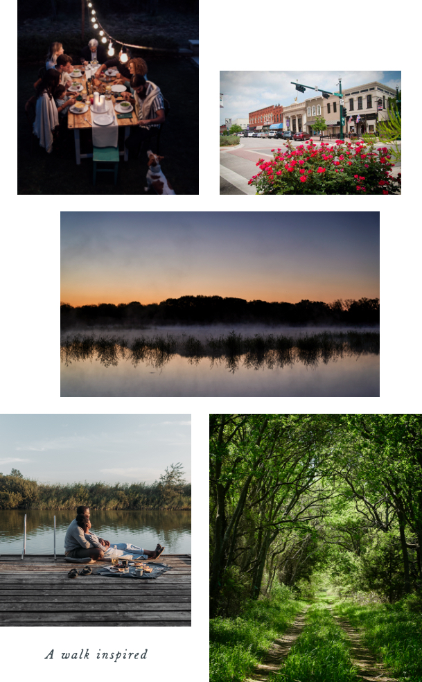 Welcome to Painted Tree