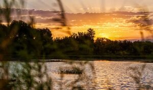 A New Home Community in McKinney, TX | Painted Tree