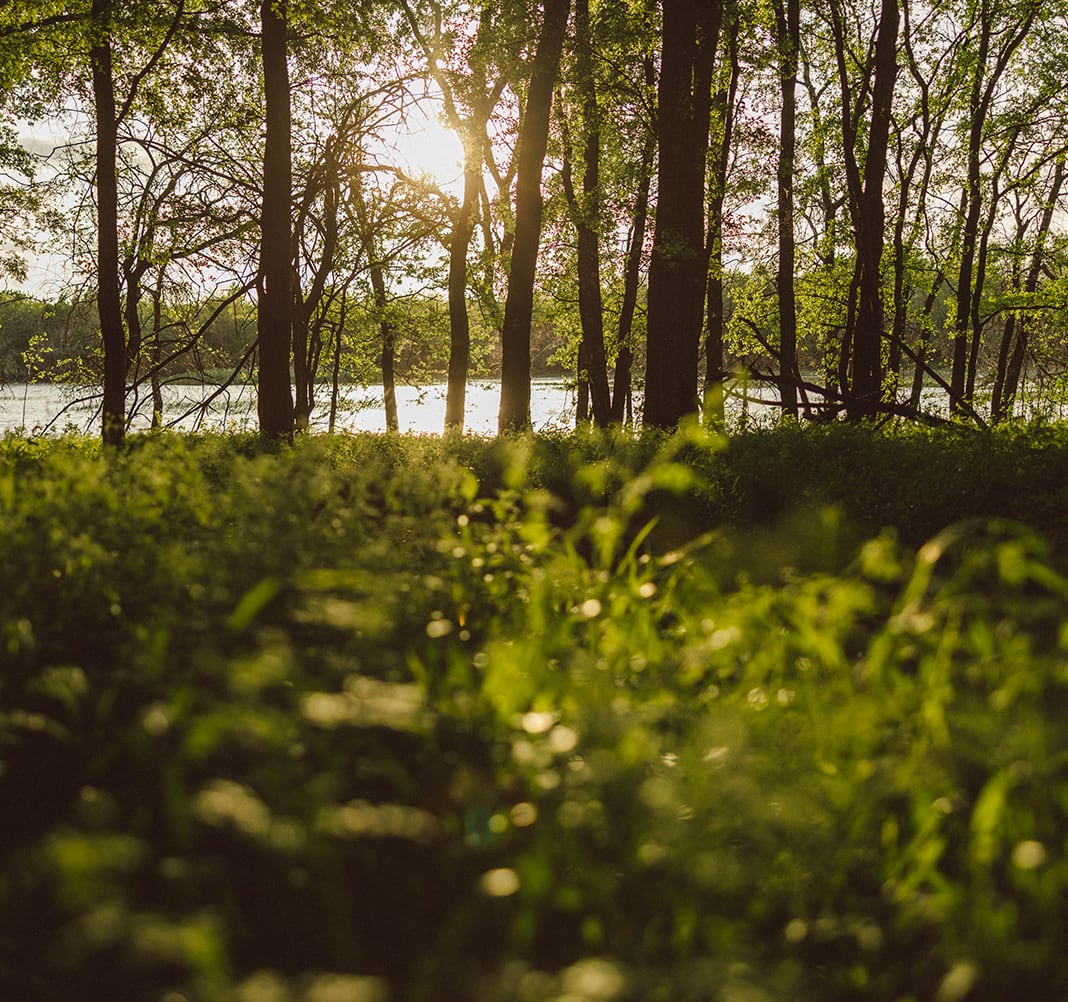 Our Story, Amenities & Community | Painted Tree