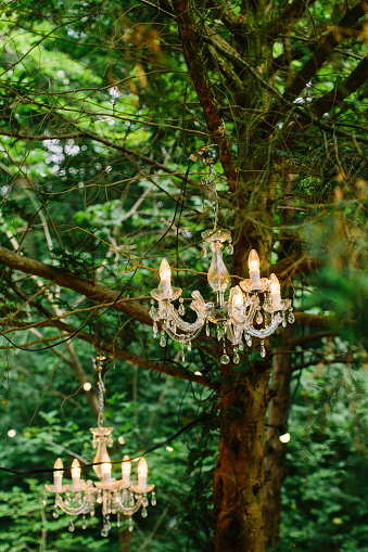 The Trailhead Outside Your Door - Painted Tree