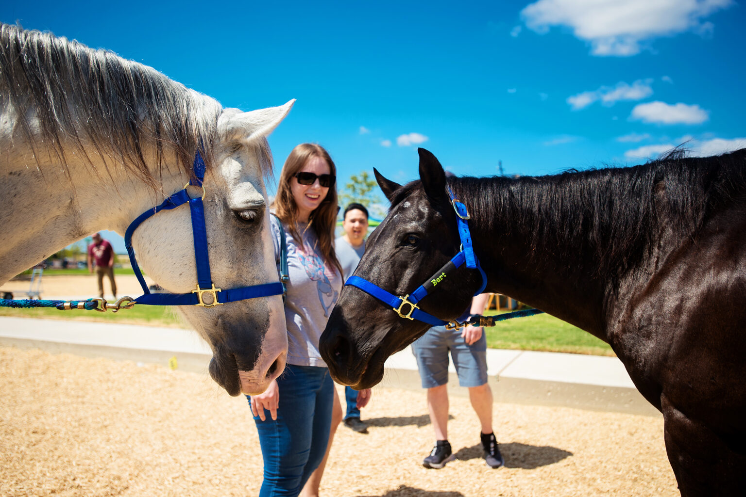 Beautiful Homes in Nature | A New Home Community in McKinney Tx ...
